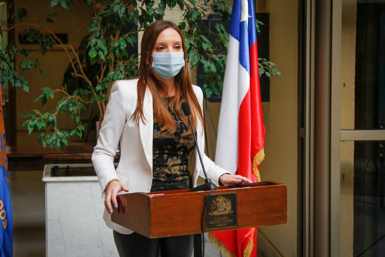 Diputada Camila Flores solicita al Consejo de Ministros del SAE ...