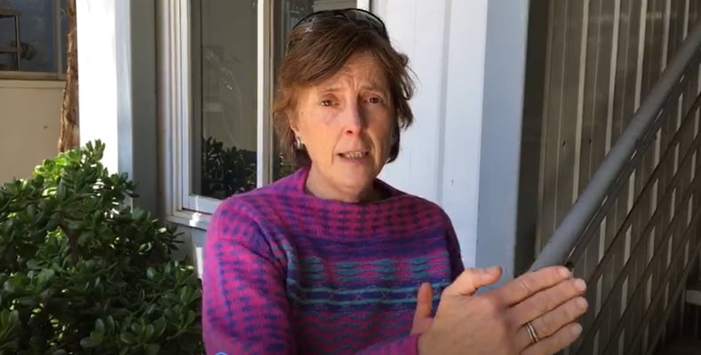 Investigadora de la UV Kathleen Whitlock se refiere a las dificultades ...