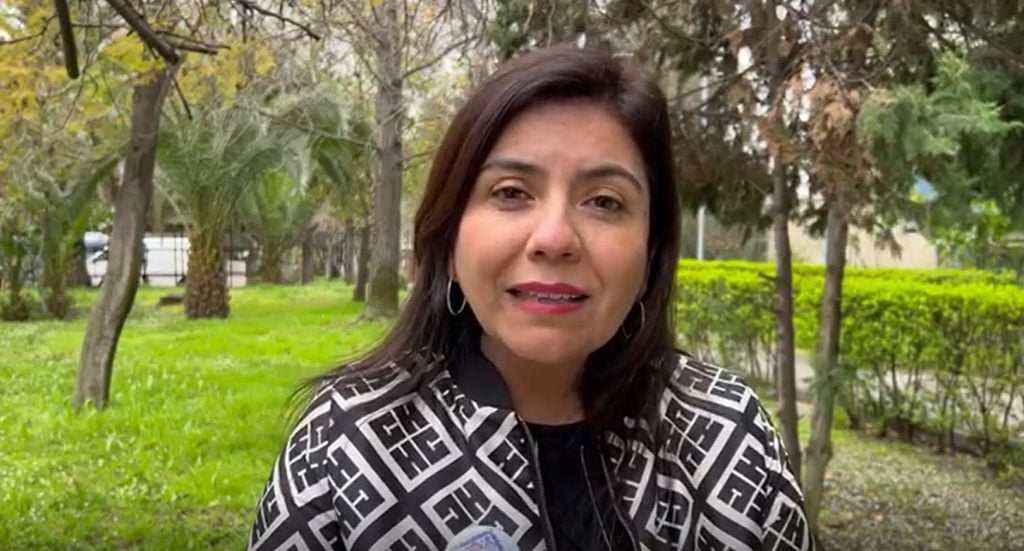 Diputados Danisa Astudillo y Juan Santana presentan proyecto de reforma ...