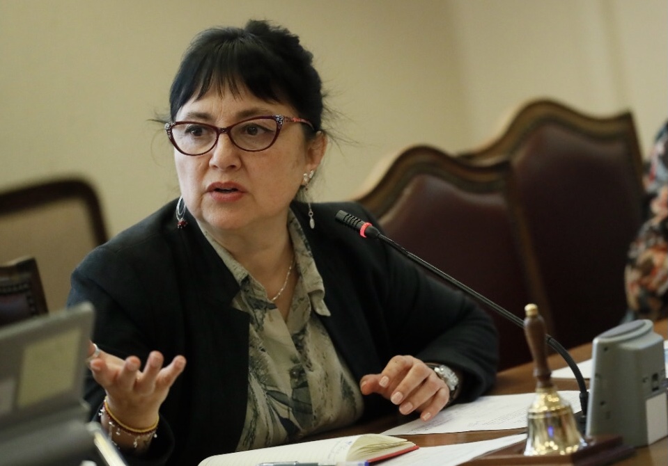 Diputada Carolina Marzán solicitó al Gobierno la creación de una ...