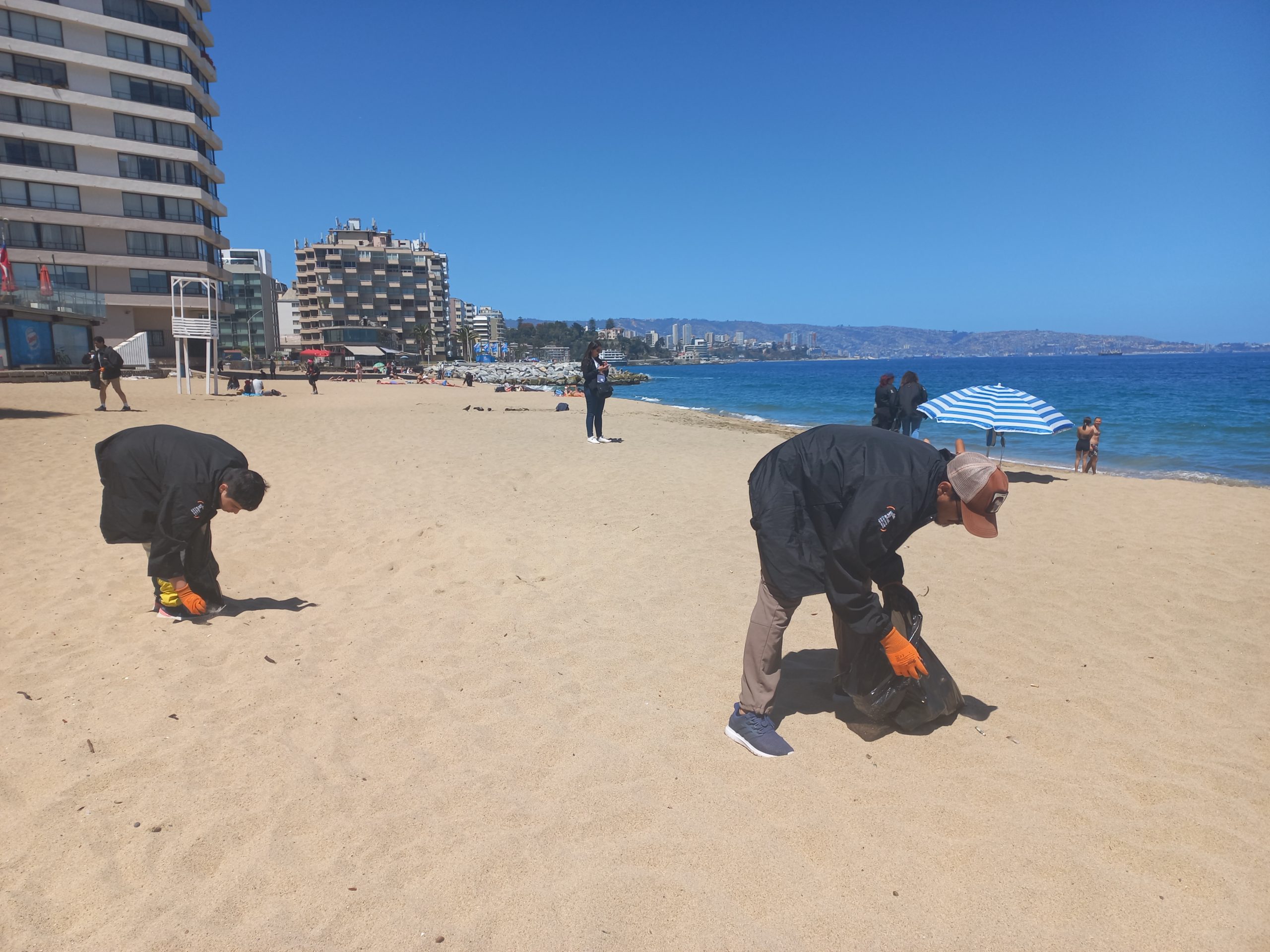 UDLA Campus Los Castaños, Municipalidad de Viña del Mar y Codexverde realizan limpieza de playa ...