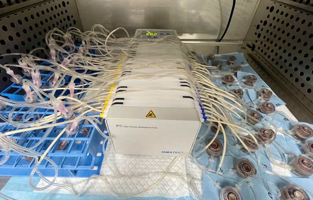 Estudiante de bioingeniería UAI participó en el desarrollo de un ...