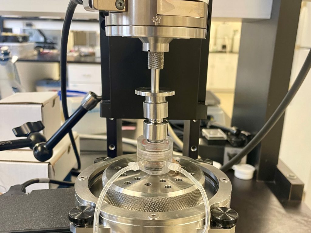 Estudiante de bioingeniería UAI participó en el desarrollo de un ...