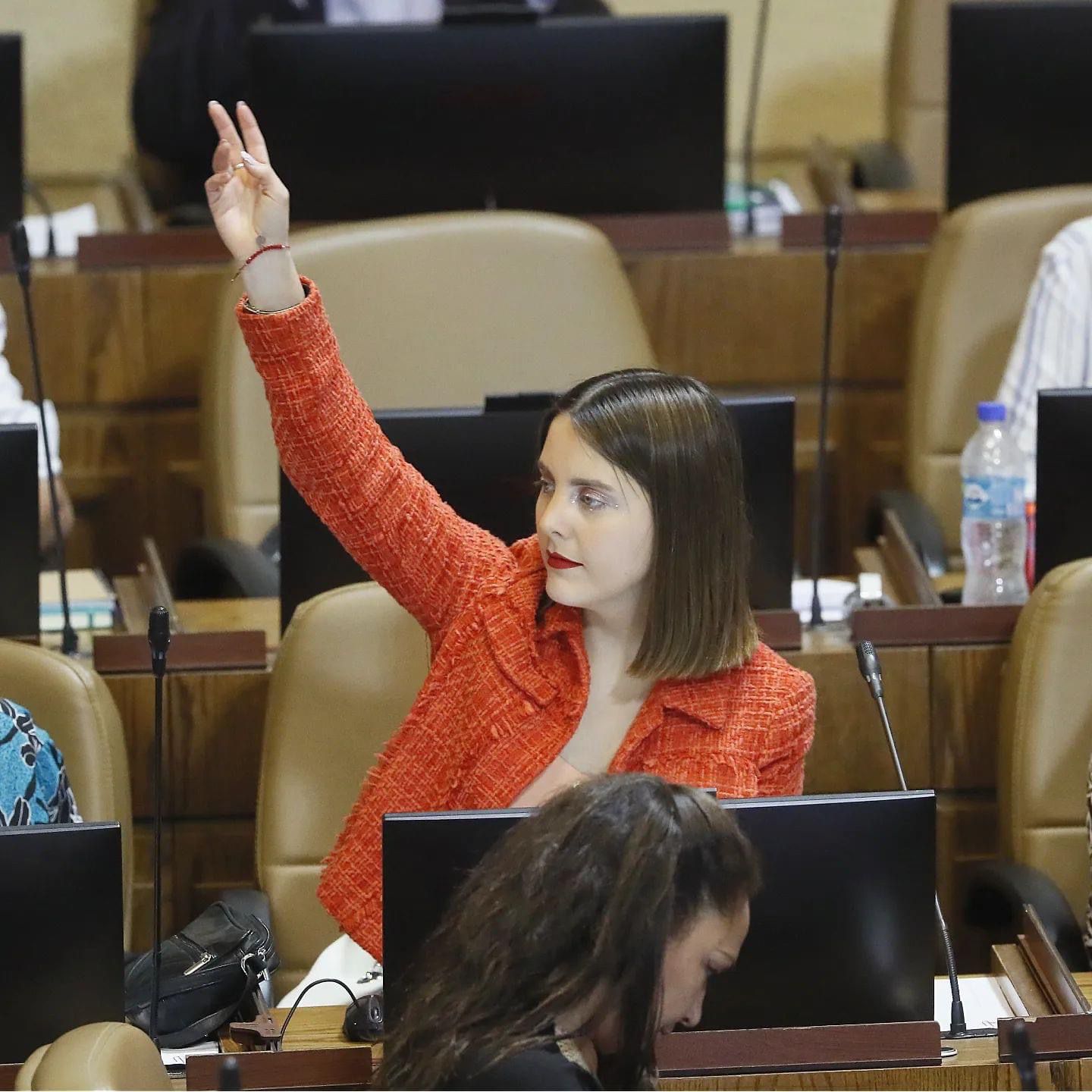Diputada Musante por visa temporal: “Me parece que es una alternativa ...