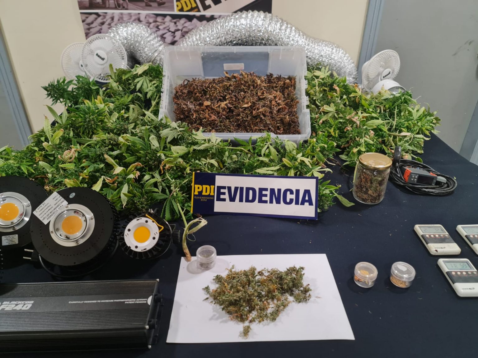 PDI detiene a una persona en operativo antidrogas – G5noticias