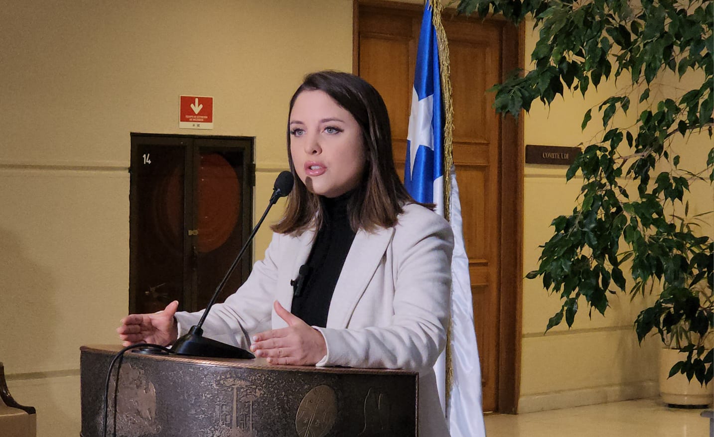 Tras alza de virus respiratorios: Diputada Camila Musante solicitó ...