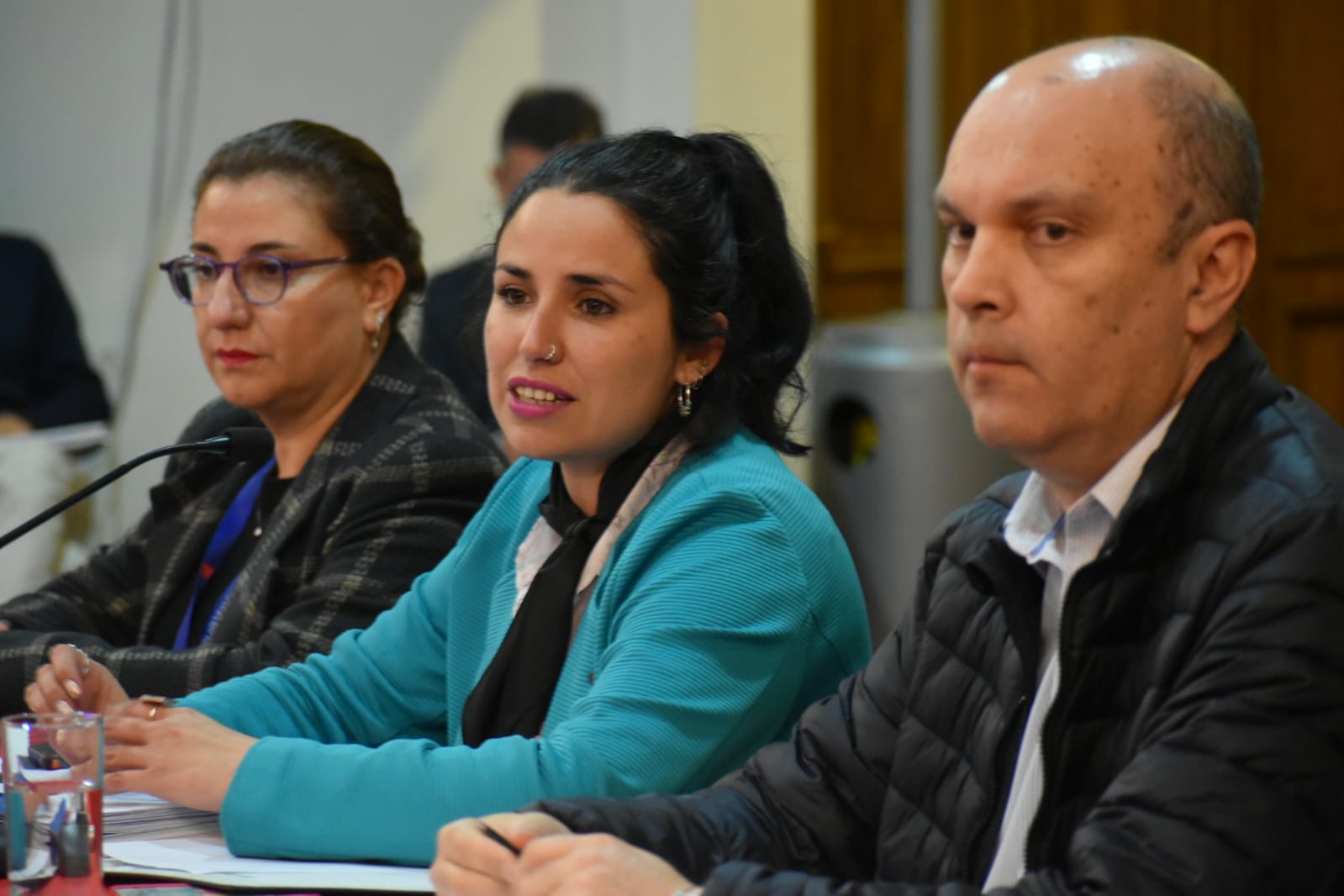 Delegación Presidencial Regional establece Fuerza de Tarea Técnica con ...