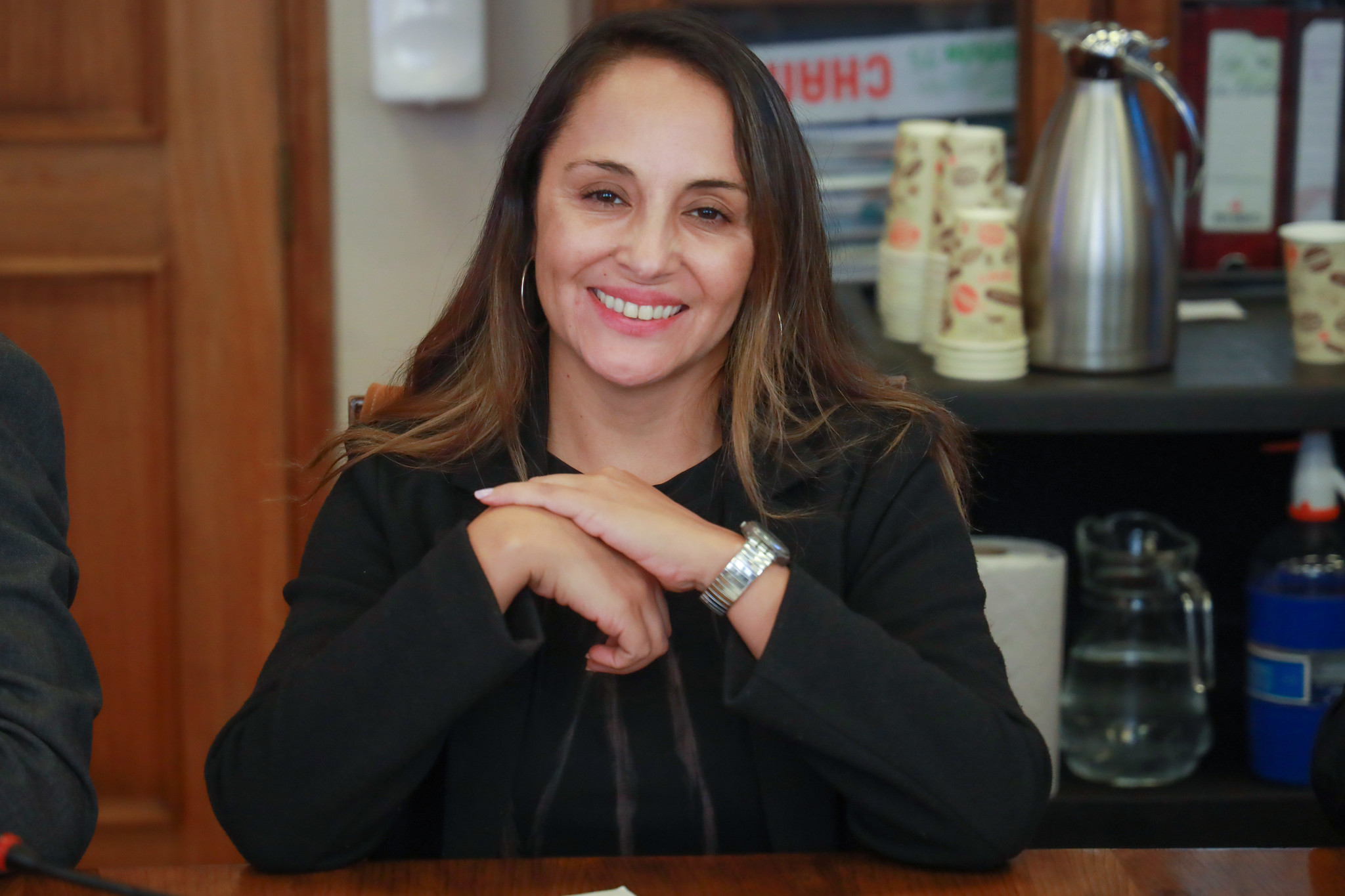 Diputada Carla Morales pide al Gobierno realizar un catastro de los ...