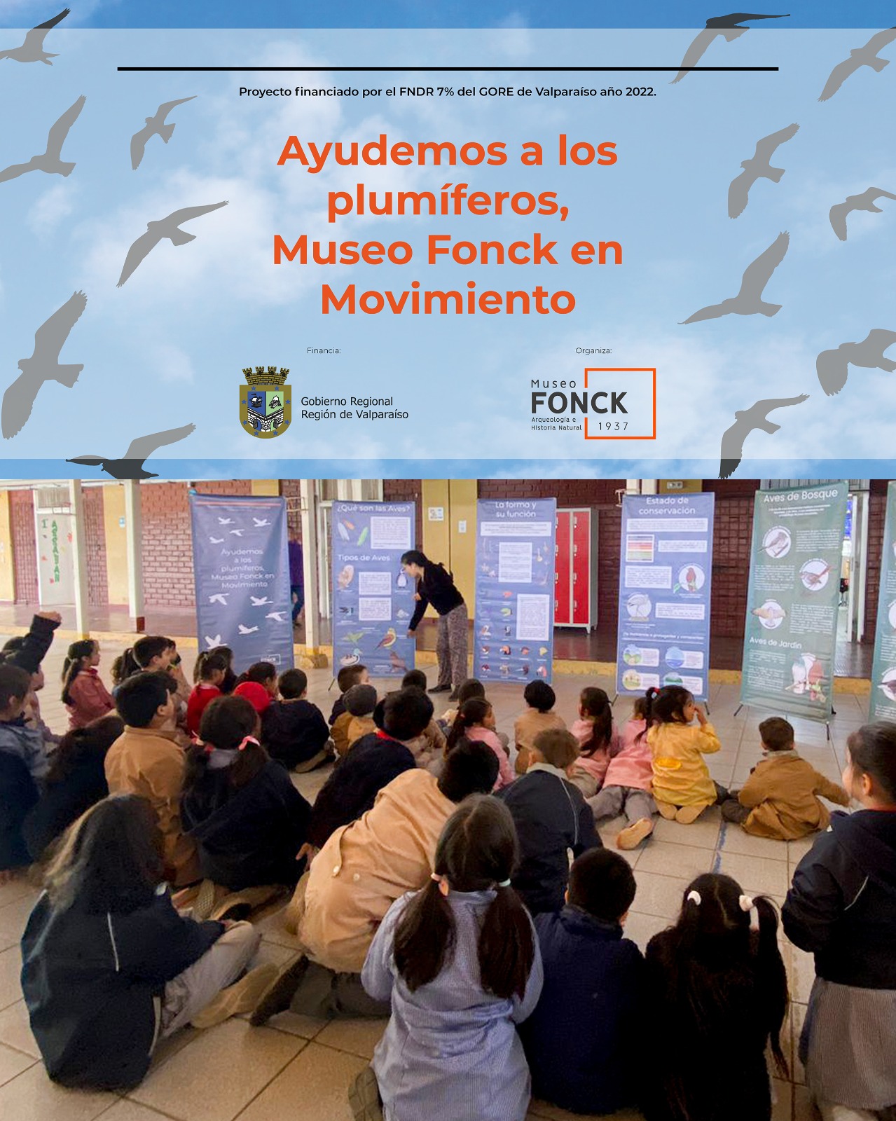 Museo Fonck incentiva el cuidado de las aves a los estudiantes – G5noticias