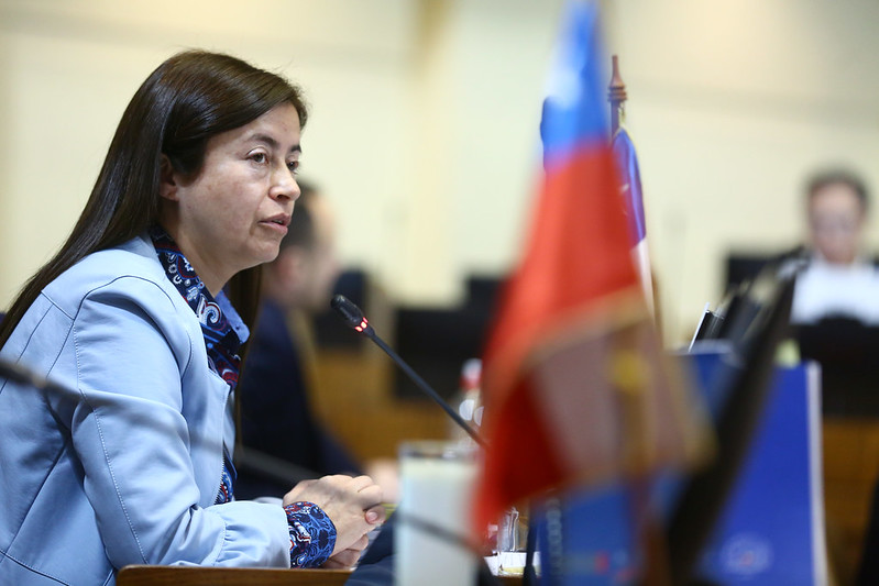 Diputada Marta Bravo destaca desafíos en primera milla, agroindustria, energía y turismo en el ...