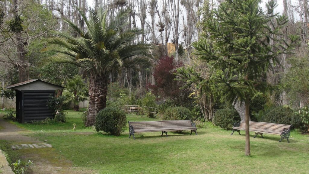 Presentan libro sobre historia y origen del Parque Quintil – G5noticias