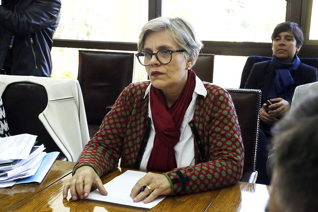 Diputada Lorena Fries denuncia desinformación tras difusión de ...