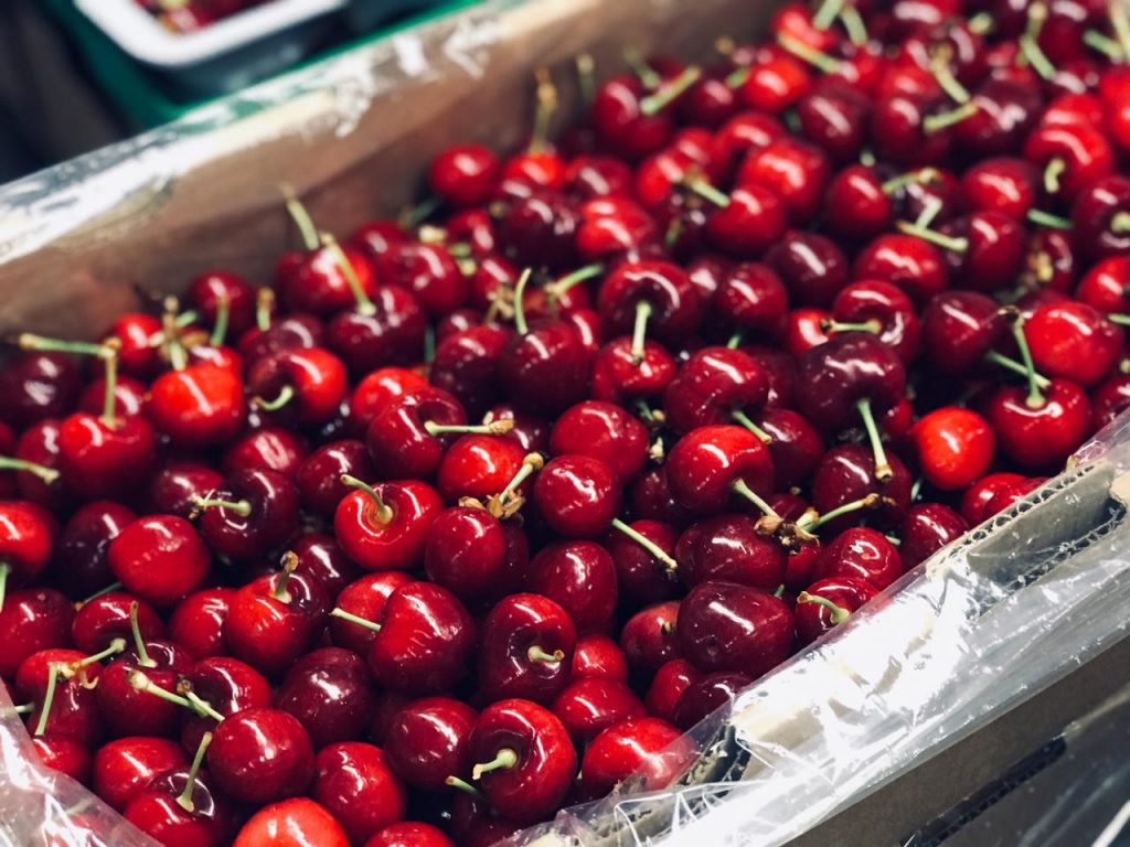 Productores y exportadores de fruta chilena dan comienzo a la nueva ...