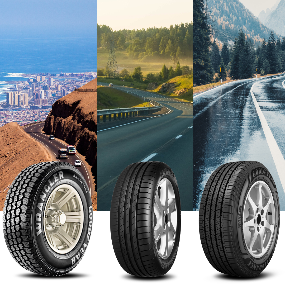 Conoce el neumático ideal para cada camino de Chile – G5noticias