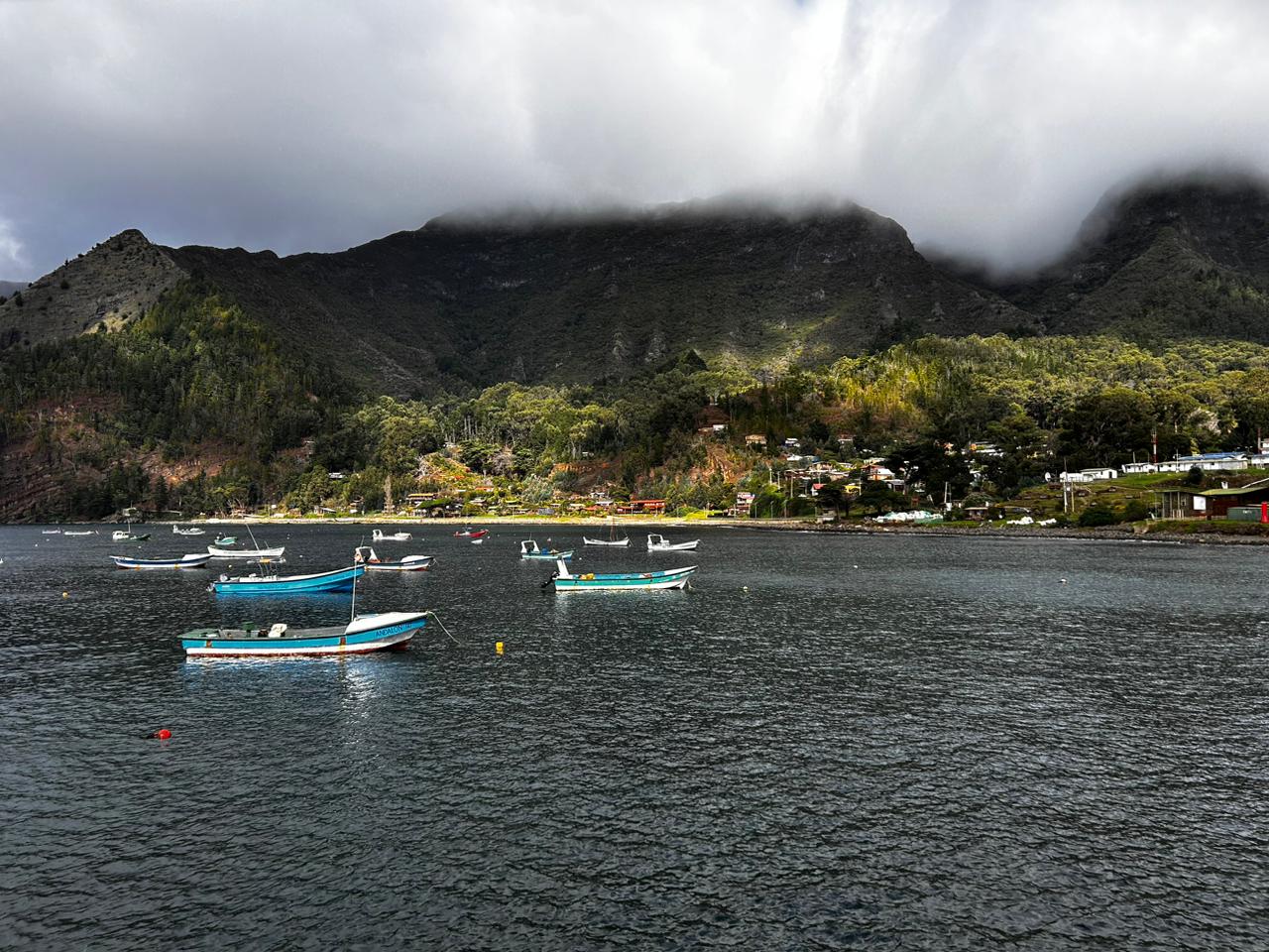 Publican bases para licitar primer servicio de transporte público ...