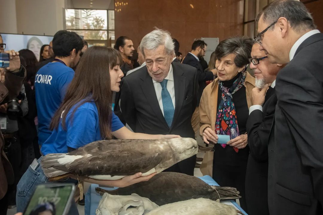Escuela de Biología Marina UV celebró la titulación de su quingentésima ...
