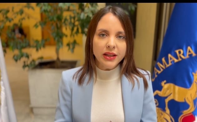 Diputada Camila Musante (IND) plantea necesidad de avanzar en querella ...