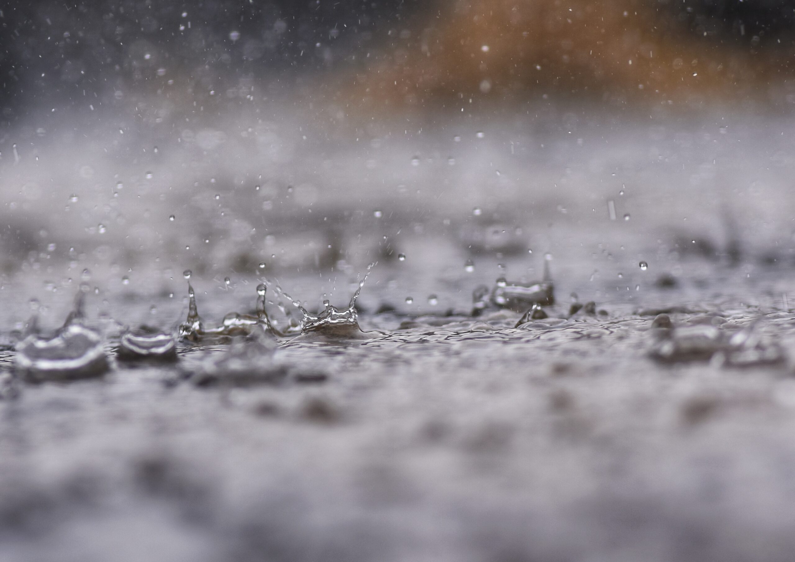 Bajas temperaturas y precipitaciones débiles se esperan para la zona ...