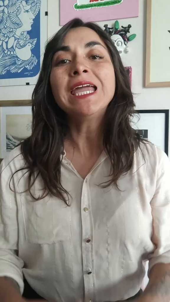 Constanza Schonhaut (FA) emplaza a Cubillos y critica opacidad en torno ...