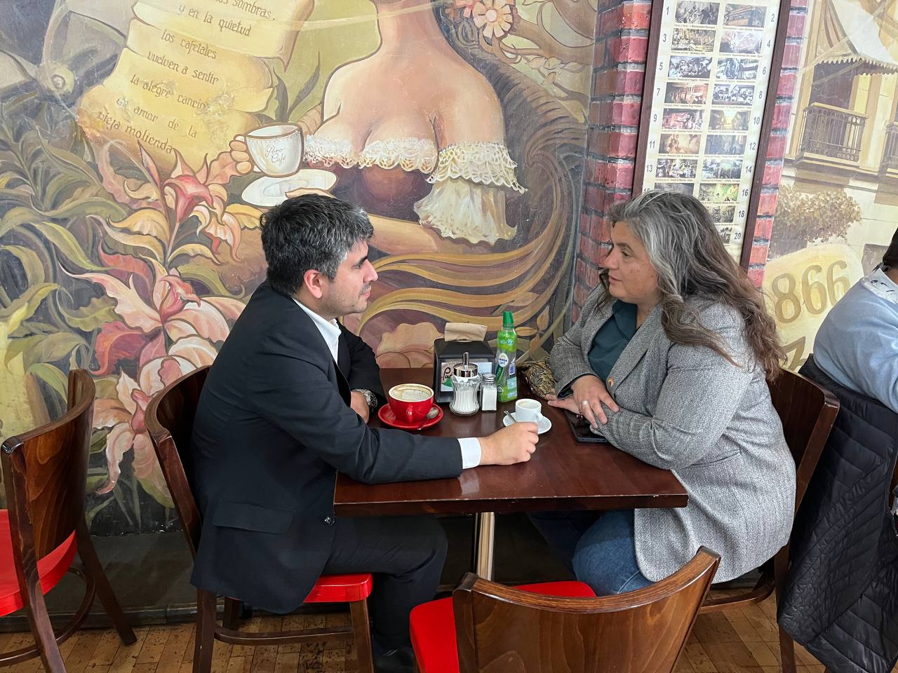 Continúa fuga oficialista a candidatura de Carla Meyer: Se suman ...