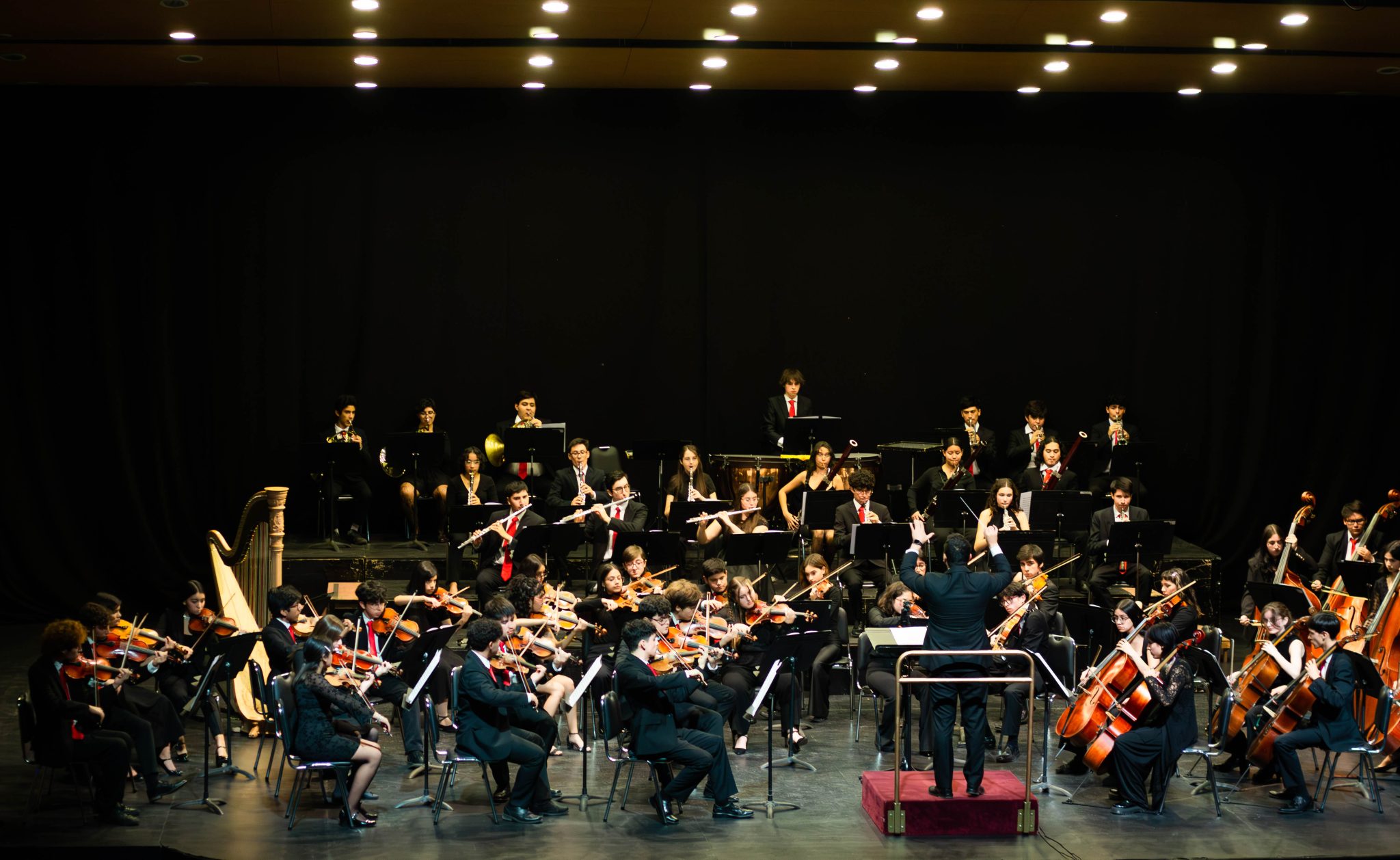 FOJI abre convocatoria 2025 a músicos de entre 12 y 18 años para ...