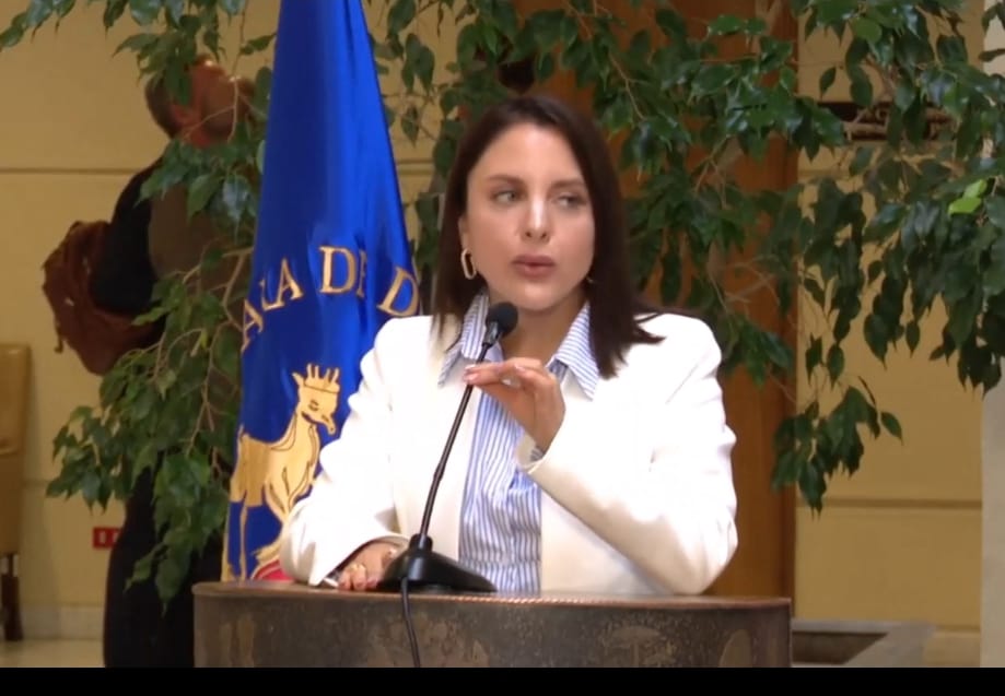 Diputada Camila Musante (IND) y el plazo cumplido para la liberación de ...