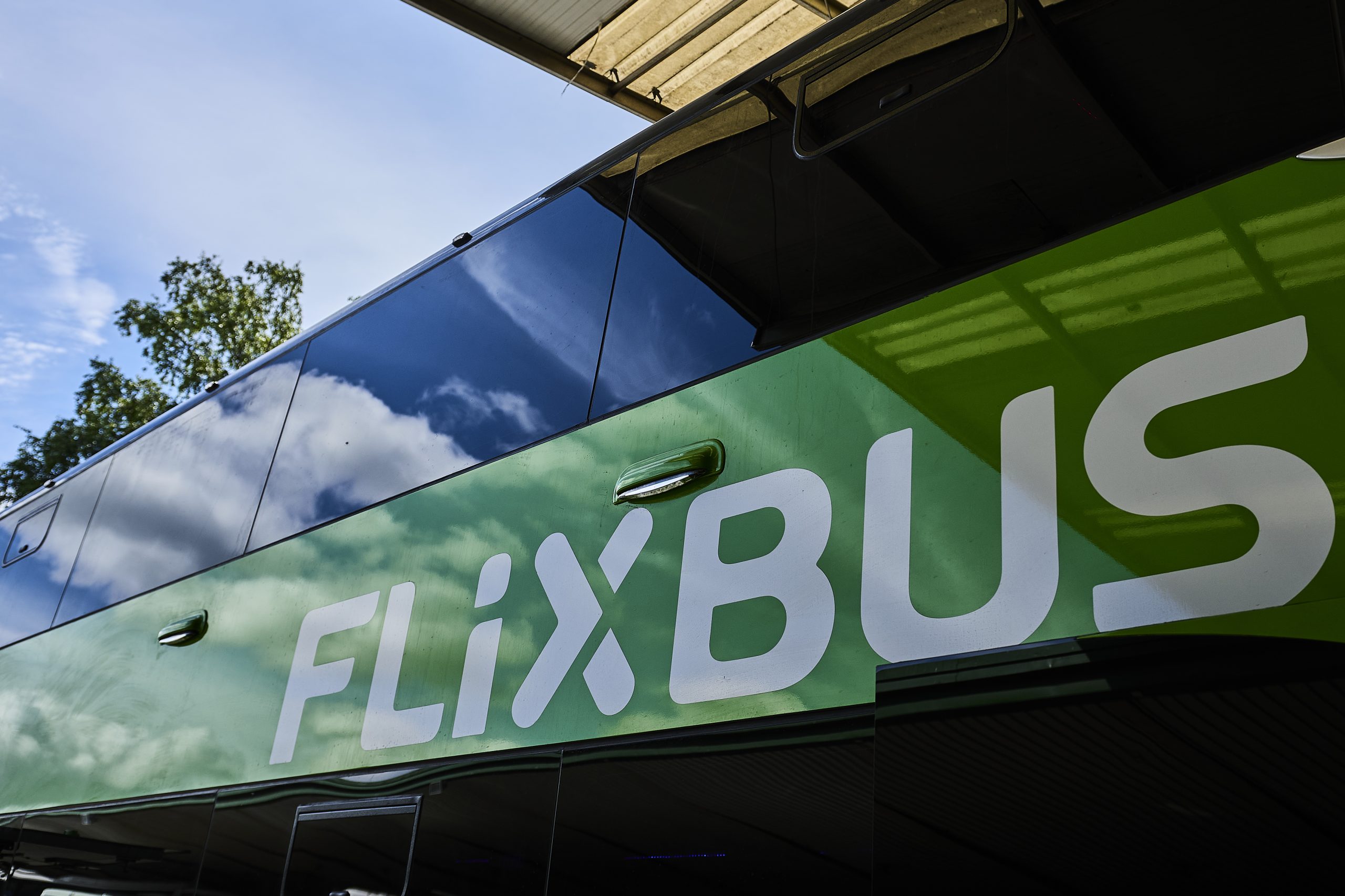 FlixBus conecta Santiago y Temuco con Pucón: nueva ruta para este ...