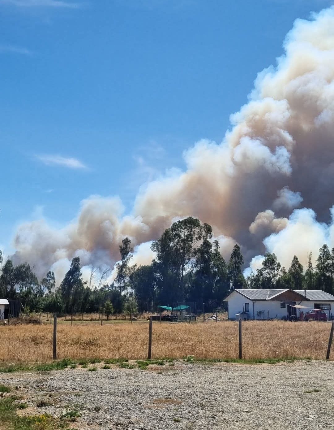 Alerta Roja para la comuna de Pitrufquén por incendio forestal – G5noticias