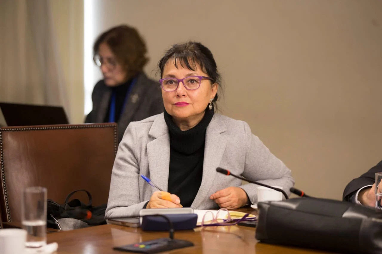 Diputada Carolina Marzán: “Hay que despejar todo tipo de especulaciones ...