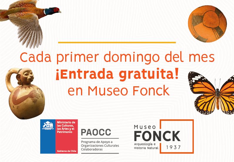 Vive la “Experiencia Fonck” con entrada gratuita cada primer domingo ...