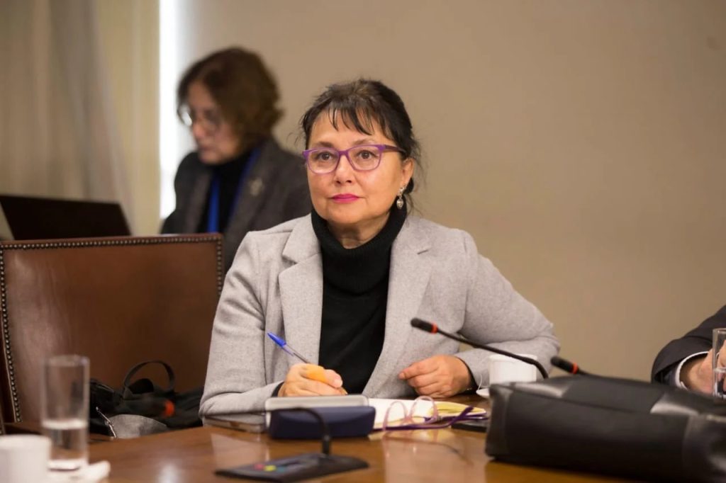 Diputada PPD, Carolina Marzán: “La unidad es imperativo ético para el ...