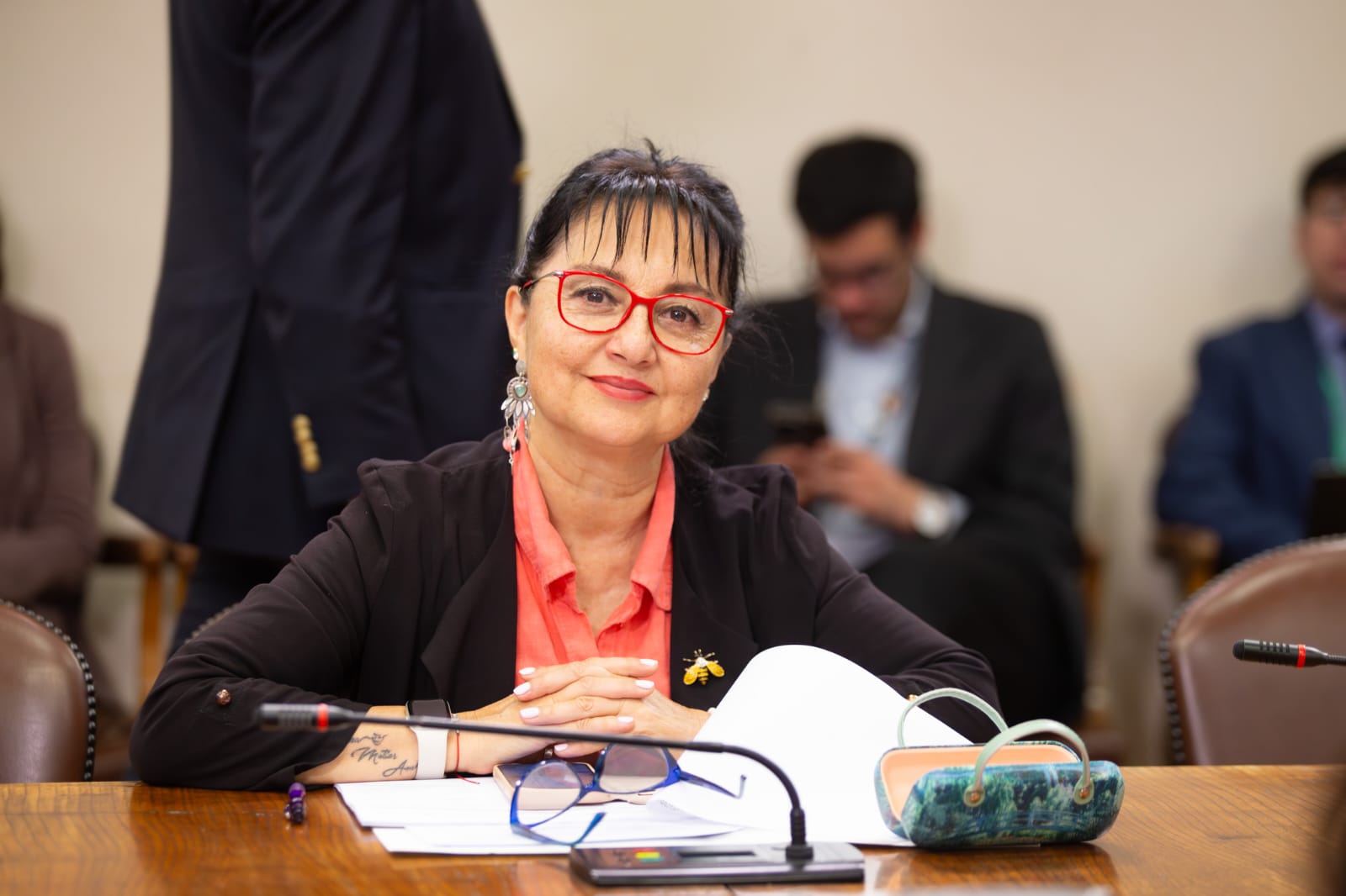 Diputada Carolina Marzán oficia al Servel por “limitaciones de personas ...