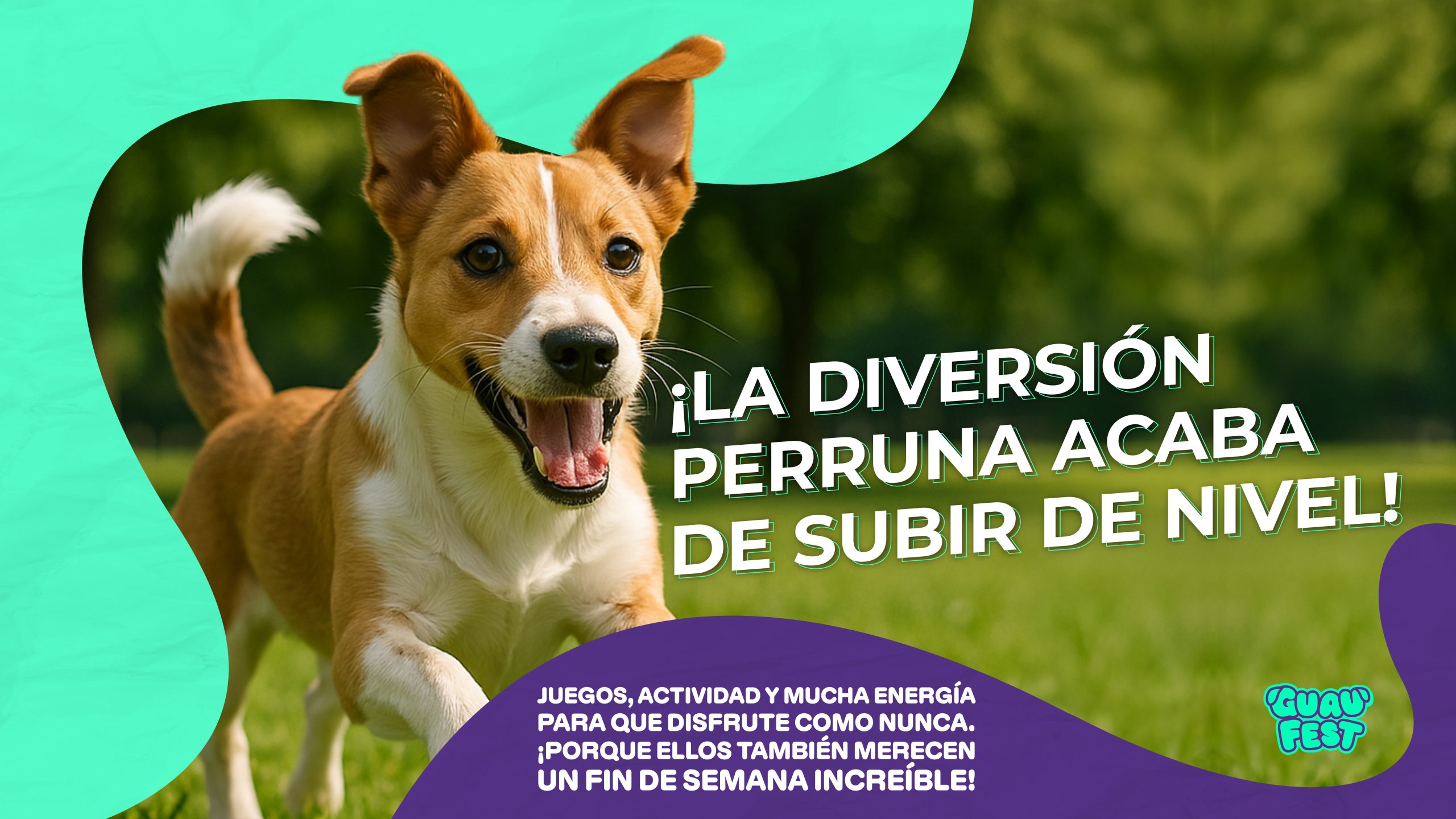 GuauFest, el primer parque de diversiones para perros, ya tiene fecha ...