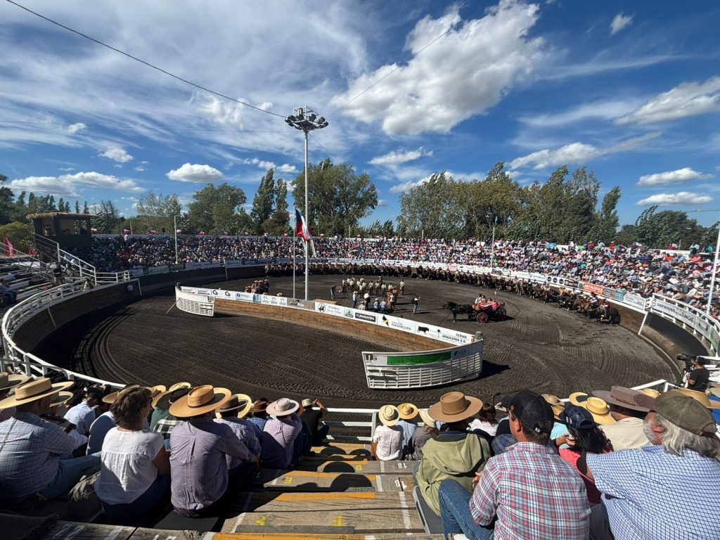 Los Ángeles da el vamos a la fase final del Rodeo Chileno de cara al 77 ...