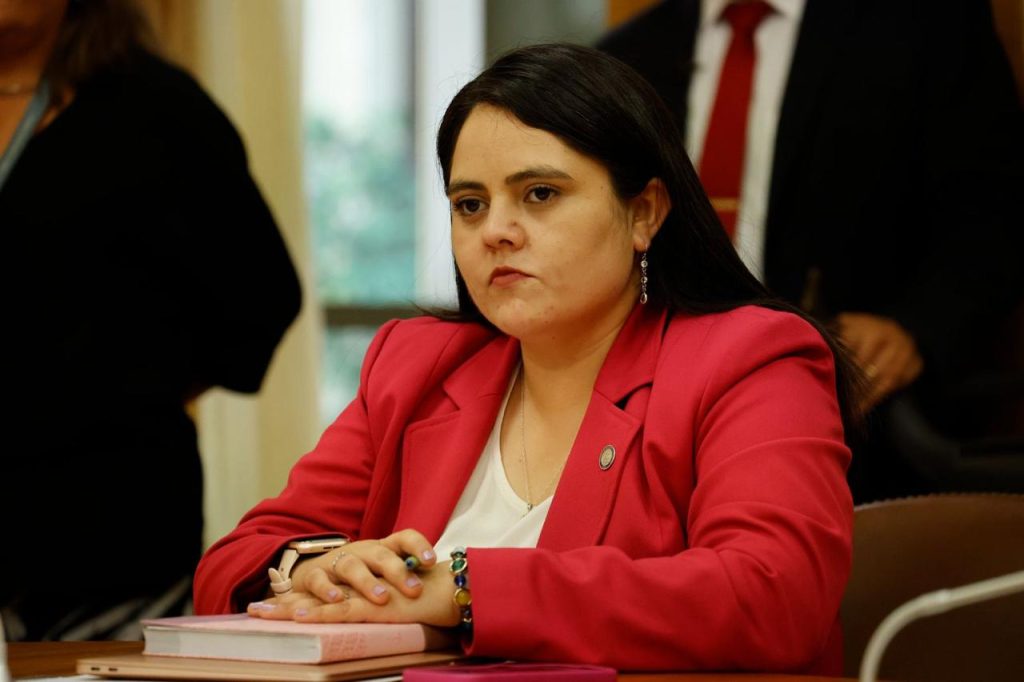 Diputada Sara Concha solicita mesa de trabajo por la seguridad en la ...