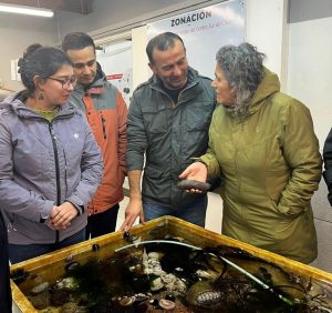 Funcionarios del SEA Biobío y académicos UCSC estrechan lazos en torno ...